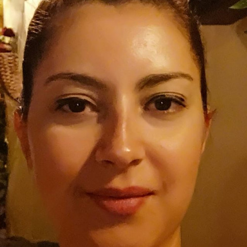 A symphony of Excellence. The VET Providers Orchestra - HUB VET4EU2